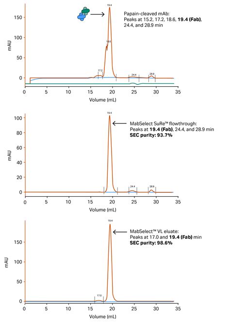 Akta Go Protein Purification System For Fab Purification Cytiva