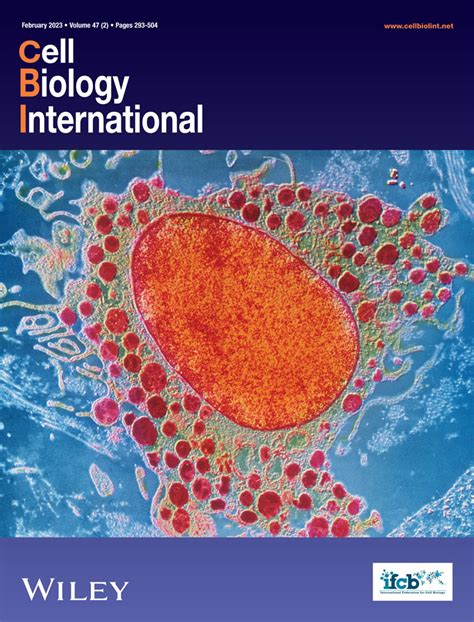 Crosstalk Between Myofibroblasts And Macrophages A Regulative Factor