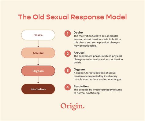 The New Female Sexual Response Cycle Yes It S Complicated