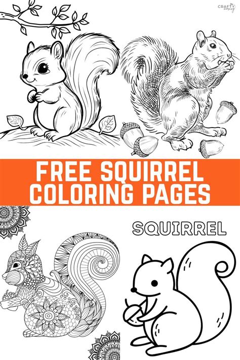 Squirrel Coloring Pages Printable 2025