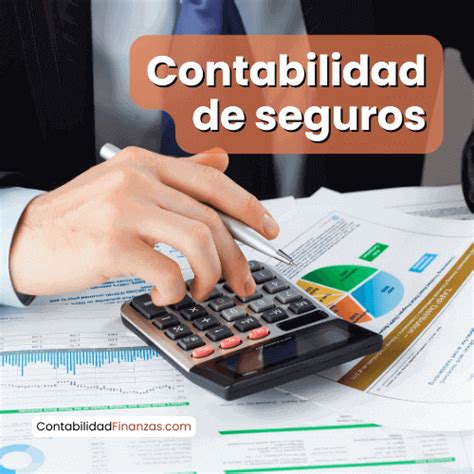 Contabilidad De Seguros Qué Es Importancia Ejercicios Y Demás