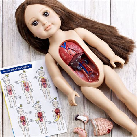 Dolls With Guts Spilling Out Educational Or Simply Grotesque