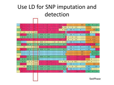 Ppt Biostatistics Lecture 19 Linkage Disequilibrium And Snp Detection Powerpoint Presentation