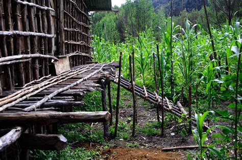 Rumah Kaki Seribu Arsitektur Mengagumkan Dari Tanah Papua Indonesia Kaya
