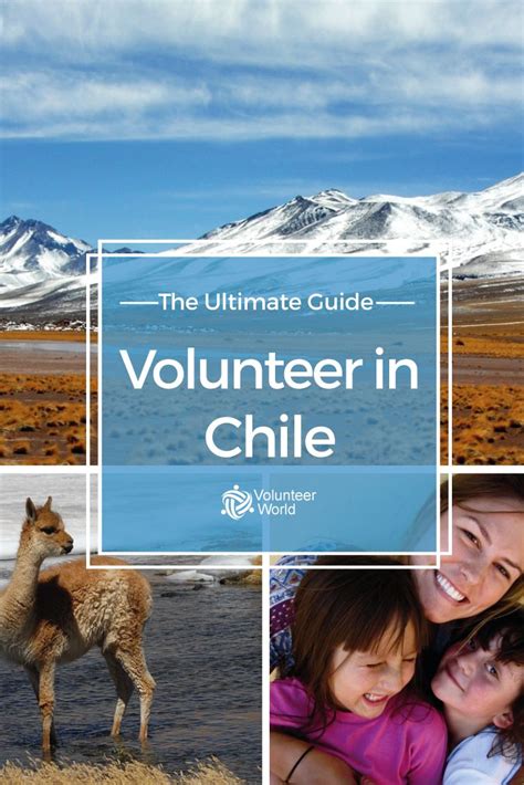 Volunteer In Chile 🇨🇱 Top 10 Programs 2025 Volunteer World Chile