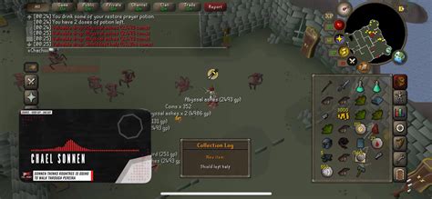 Average Kill Count Needed For The Shield Left Half In Osrs And Tips To