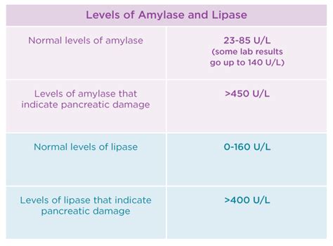 Amylase And Lipase Tests