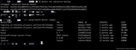 Docker备份容器到本地（以及恢复）zerotermux Github Csdn博客