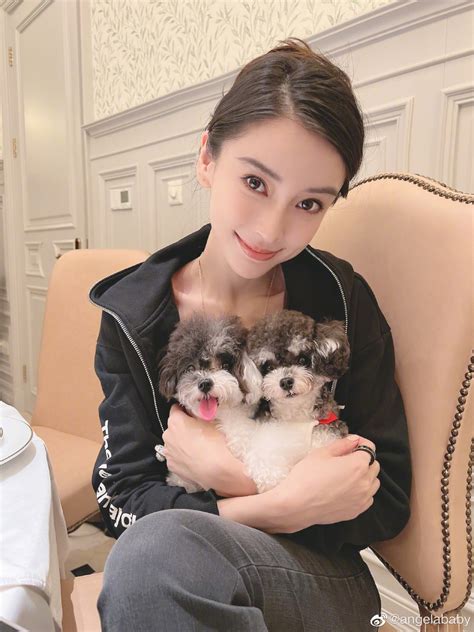 Angelababy