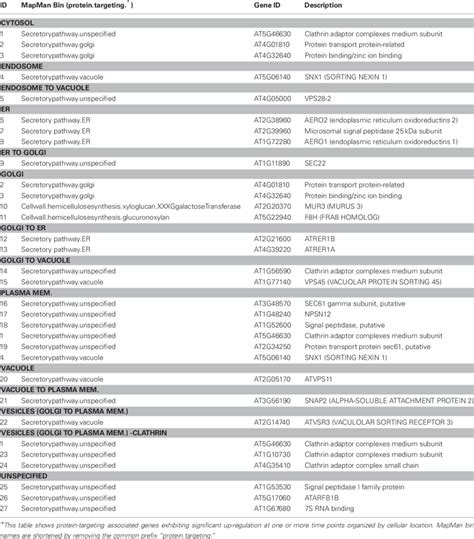 Secretory Protein Localization Download Table