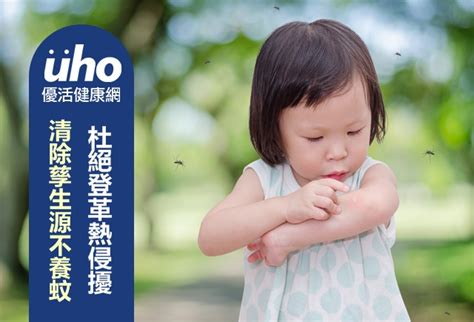 清除孳生源不養蚊 杜絕登革熱侵擾 Uho優活健康網