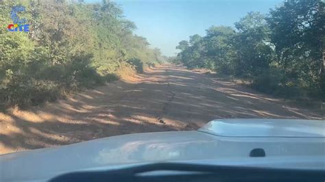 David Coltart On Twitter RT Zenzele Nkayi Road Asakhe