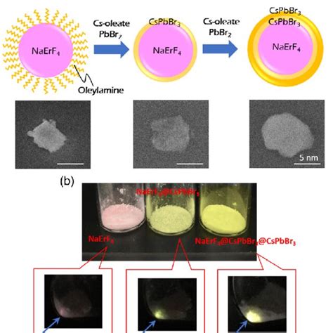 Structure And Uc Emission Of Perovskite Coated Ucnps A Schematic Download Scientific Diagram