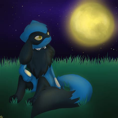 Reiki Riolu Eevee Crossbreed By Tioma The Eevee Girl On DeviantArt