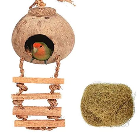 10 Best Love Bird Bird Houses For Your Feathered Friends Hummingbirds
