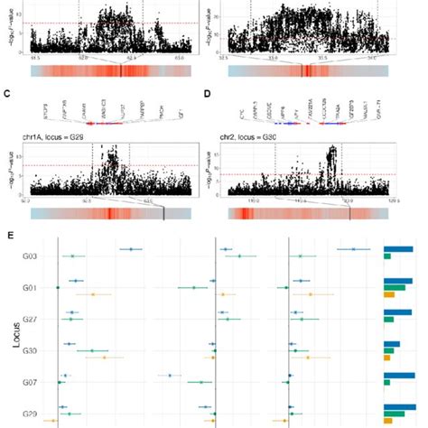 Genome Wide Association Analysis Of Morphological Variation In Beak And Download Scientific