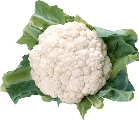 Cauliflower Cauliflower Png Transparent Background Ai Vrogue Co