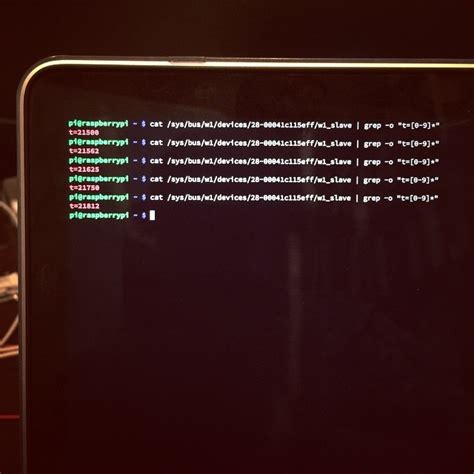 Adventures Of Raspberry Pi On Tumblr