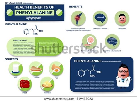 Set Health Benefits Phenylalanine Essential Amino Stock Vector Royalty