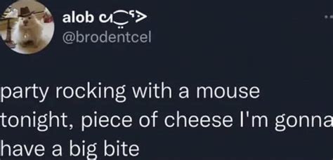 This Gave Me Strong Danny Energy Cant Explain Rdannygonzalez