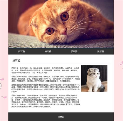 宠物猫 页 元 编号C 动物宠物 官网大学生网站模板 大学生网页作业 网站成品 网页作业成品下载 Dreamweaver网页作业 网页设计素材网页设计