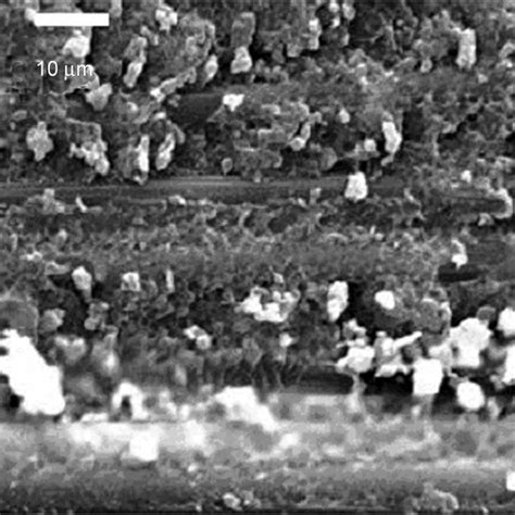 Scanning Electron Micrographs Showing Fracture Surfaces Of Htm 40 Htm Download Scientific