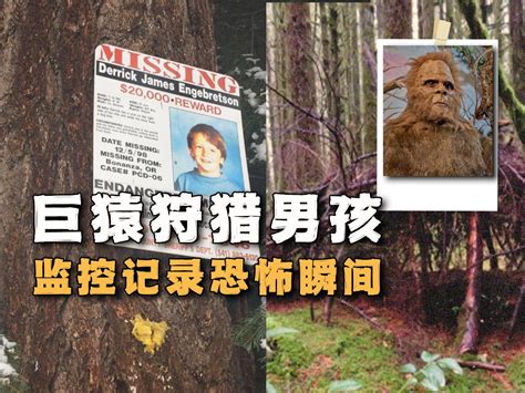 8岁男孩离奇失踪，尸骨无存，荒野监控记录下了恐怖一幕 星海oo 星海oo 哔哩哔哩视频