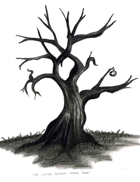 Easy Half Dead Half Alive Tree Drawing Jamison Blazzabse