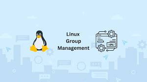 How To Create Groups In Linux Adding Users To Groups