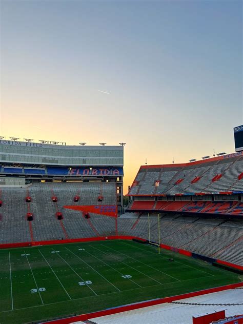 University Of Florida Stadium Rush Aesthetic Go Gators In 2023