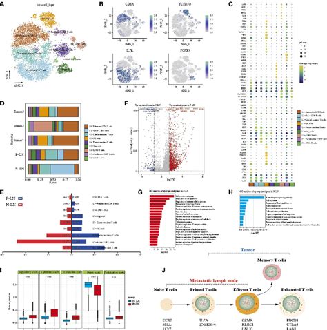 Figure From Integrated Single Cell Transcriptome Analysis Of The Tumor Ecosystems Underlying