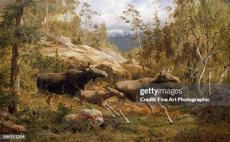 Bogh Photos And Premium High Res Pictures Getty Images