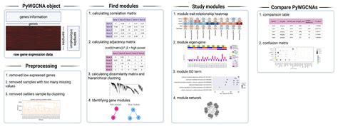 PyWGCNA A Python Package For Weighted Gene Co Expression Network