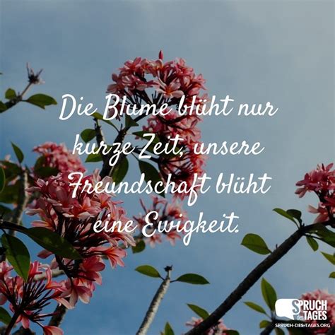 Pin Auf Sms Nachrichten