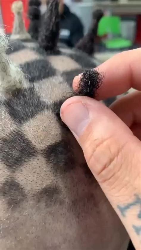 Checkmate… Album On Imgur