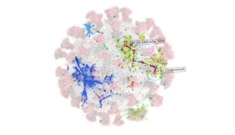 Mathematicians Use AI To Identify Emerging COVID 19 Variants Medicine Net