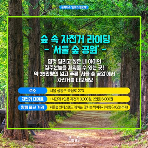 생애 첫 자전거를 타던 날 기억하시나요 전체 카드한컷 멀티미디어 대한민국 정책브리핑