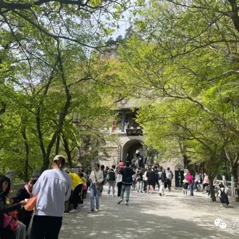 平凉市 “五一”假期文旅市场回暖 近郊游乡村游受热捧旅游游客景区