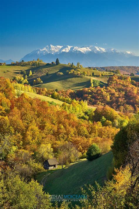 Mihai Moiceanu Mihai Moiceanu Added A New Photo — In