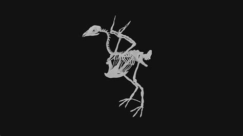 Turkey Skeleton 3d Model Cgtrader