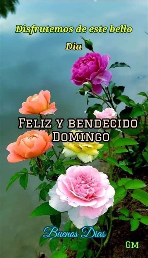 Pin De Martha Rodriguez En Buenos Días Feliz Y Bendecido Domingo