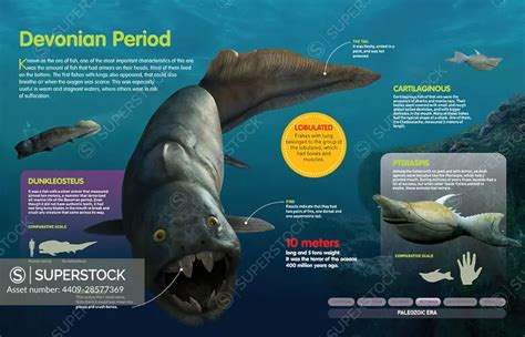 Paleozoic Era Fish Colorata Paleozoic Creatures Figure Fish Realistic