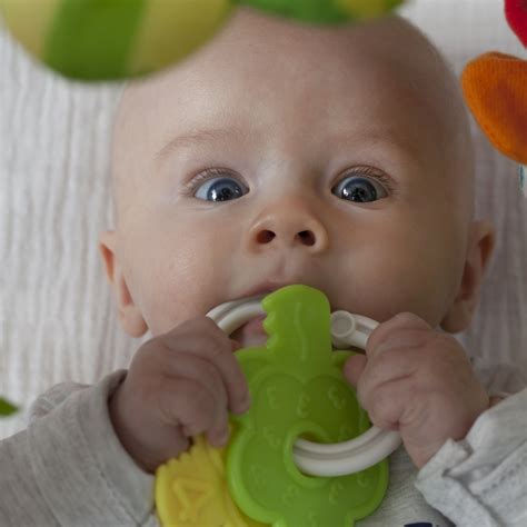 👶 Выбираем лучшие прорезыватели для зубов в 2024 году