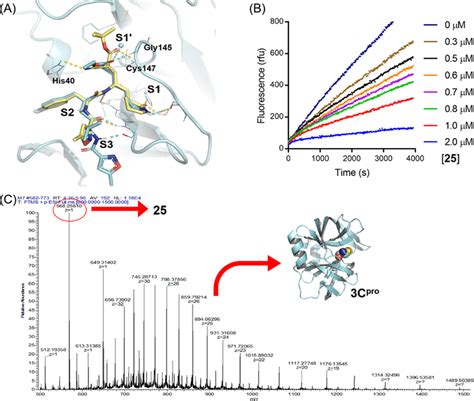 A Top Scoring Docking Pose Of 25 Yellow Was Superimposed On Download Scientific Diagram