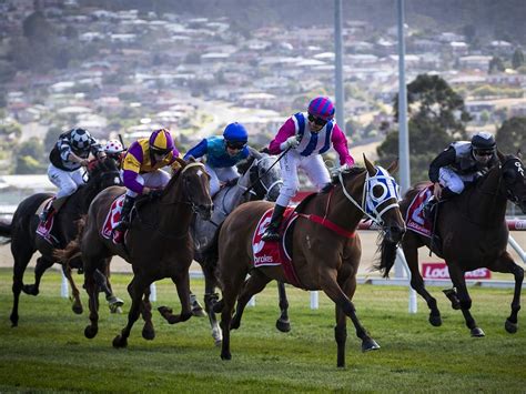 Hobart Cup 2020 Michael Trinder Toorak Affair The Mercury