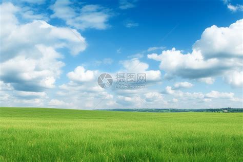 阳光明媚的草地高清图片下载 正版图片600390947 摄图网
