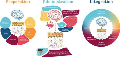 Potential Bidirectional Interactions Between The Host Microbiota And