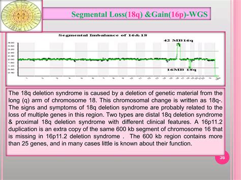 Rep Sequencing Analysis Ppt