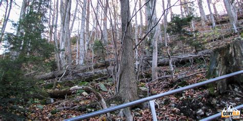 Sokola Perć I Sokolica W Pieninach Mapa I Opis Trasy