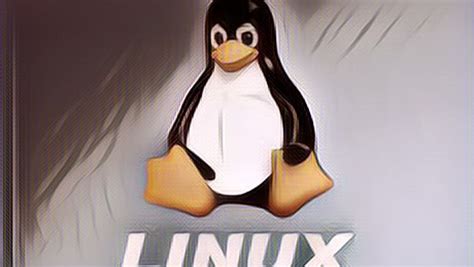Mengenal Apa Itu Sistem Operasi Linux Apa Bedanya Dengan Os Yang Lain Paragram Id